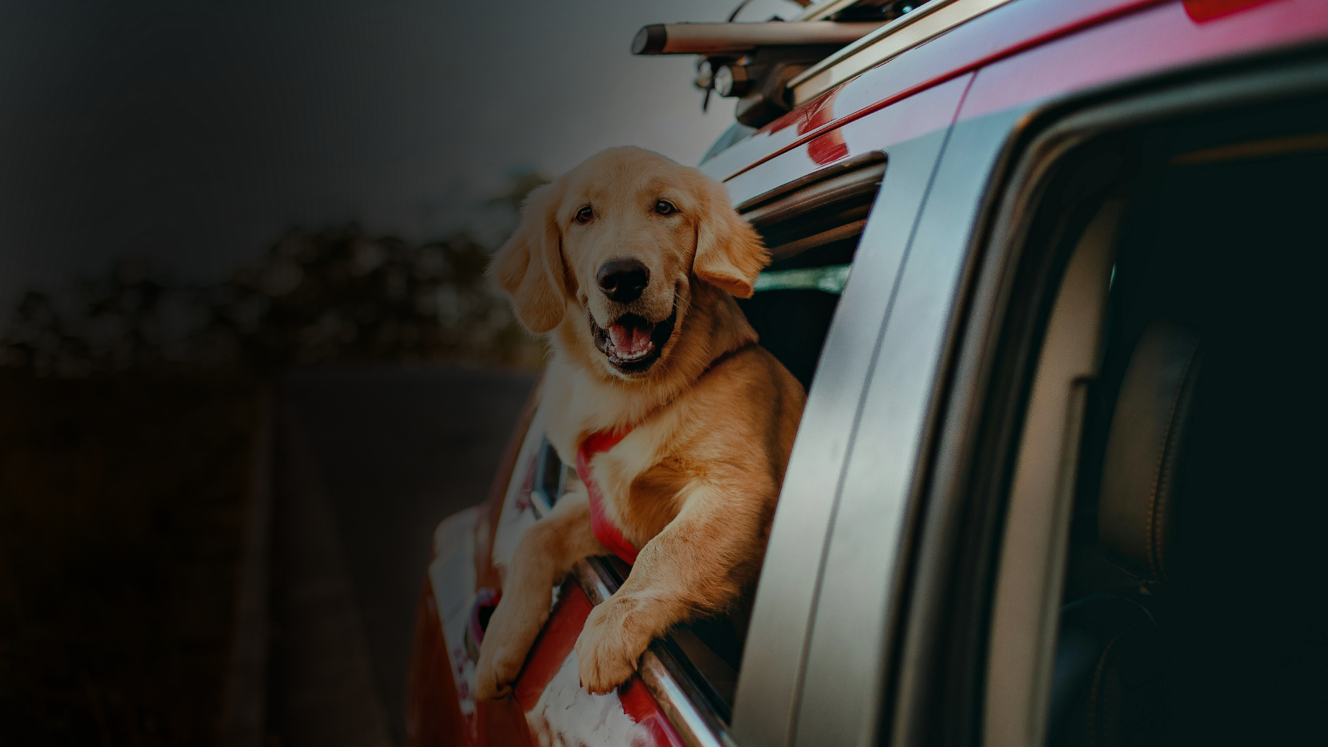 Trip Cancellation Insurance